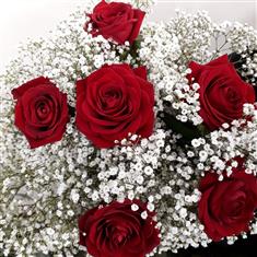 Daisy Chain Florist Leeds - Order Online or 0113 266 3039