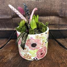 Daisy Chain Florist Leeds - Order Online or 0113 266 3039