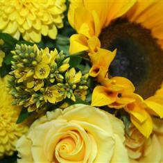 Sunshine Yellow Hand Tied Daisy Chain Florist Leeds